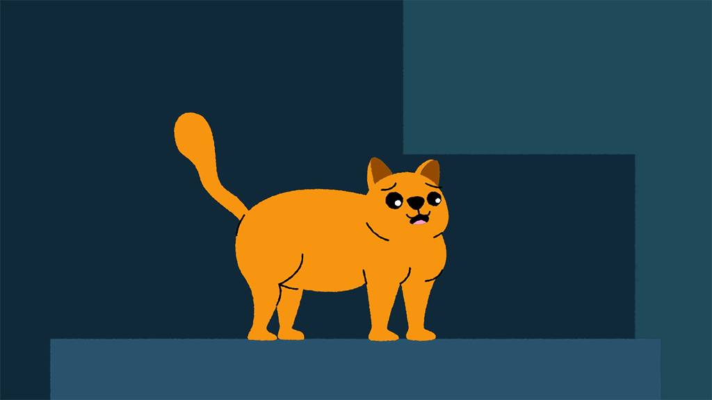 Animated Illustrations - Andreea Moise