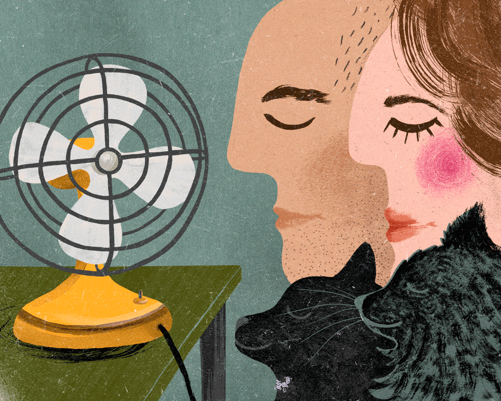 Animated Illustrations - Andreea Moise